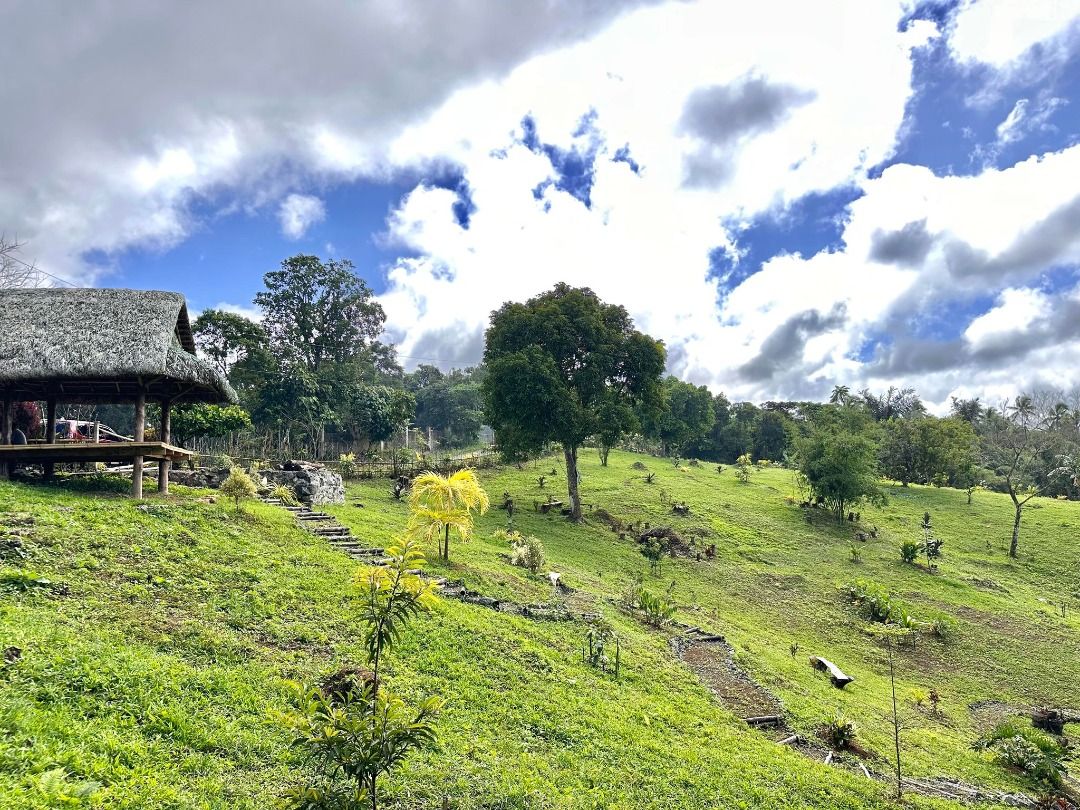 Prime Farm and Resort Lot FOR SALE! at Caliraya, Cavinti Laguna ...