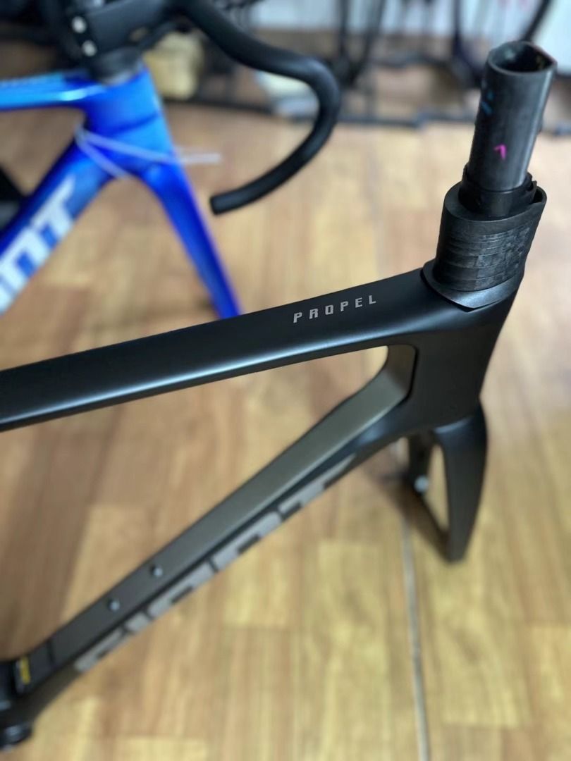 2024 捷安特 Giant Propel Advanced SL Disc FRAMESET 頂級公路車車架, 運動產品, 單車及配件 ...