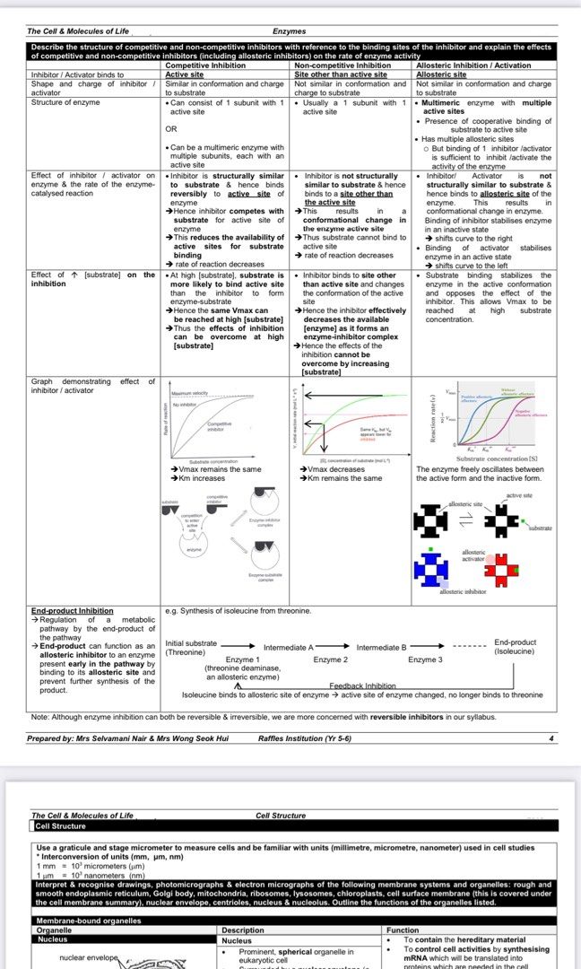 ⚡️[2025] H2 BIO Biology JC 9744 A Level Package H1 H3 RJC RI Raffles ...