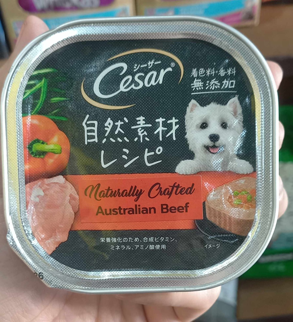 Cesar Cube Can Australian beef, Pet Supplies, Pet Food on Carousell