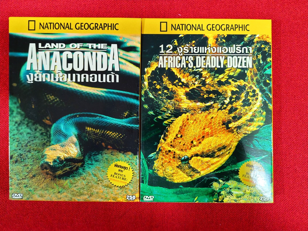 National Geographic Land Of The Anaconda Africa's Deadly Dozen Snakes ...