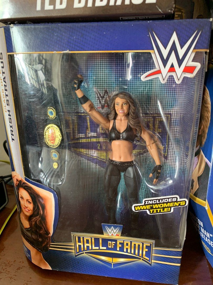 [WHOLE SET CLEARANCE SALE!!! RARE COLLECTION!!] - WWE Mattel Elite Legend Series Hall of Fame ...