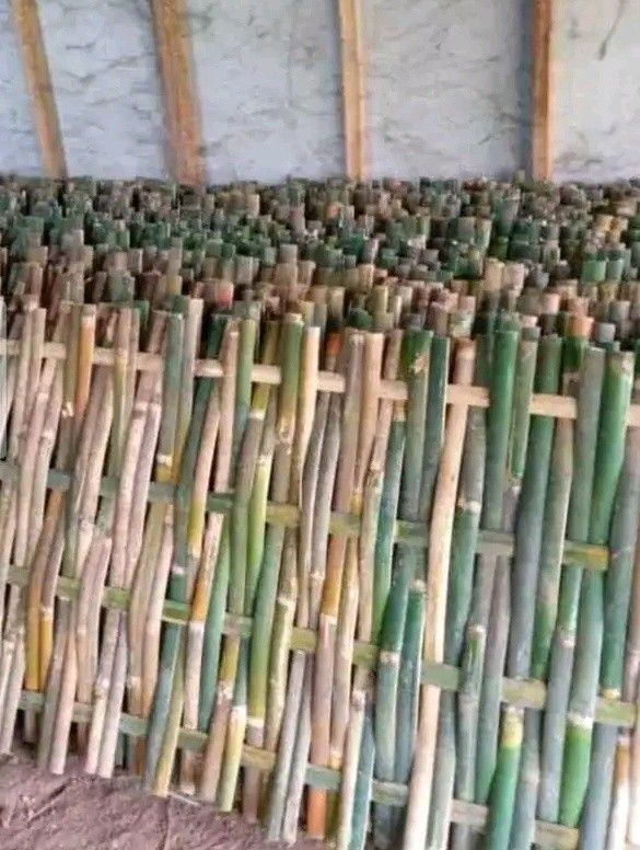 Seseg Bambu per lembar, Perkebunan di Carousell