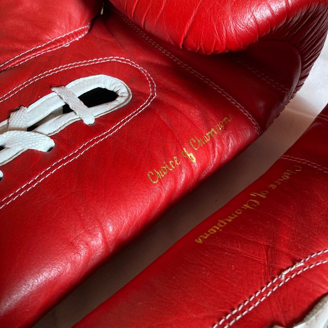 Everlast 1910 Pro Fight Boxing Gloves 8oz, Sports Equipment, Sports ...