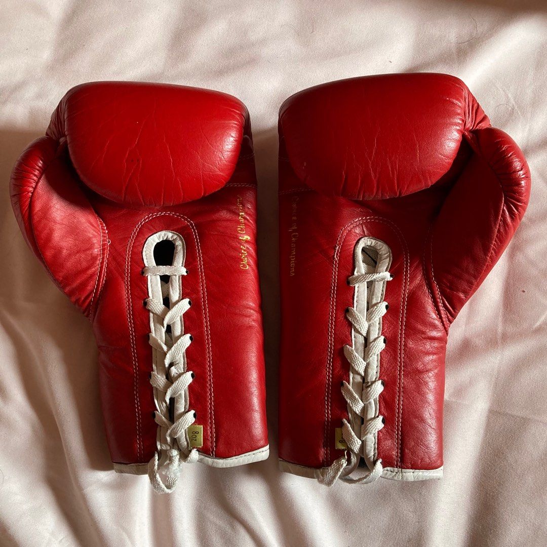 Everlast 1910 Pro Fight Boxing Gloves 8oz, Sports Equipment, Sports ...