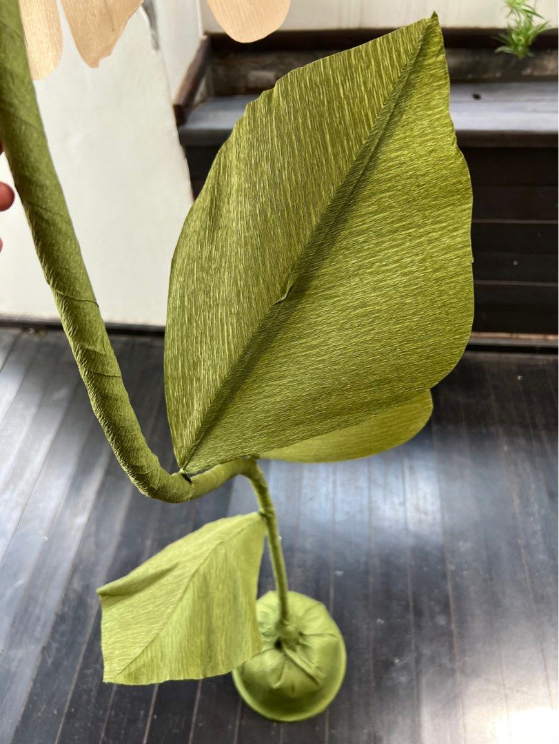 Giant crepe Paper Flower: Light Peach, Furniture & Home Living, Home ...