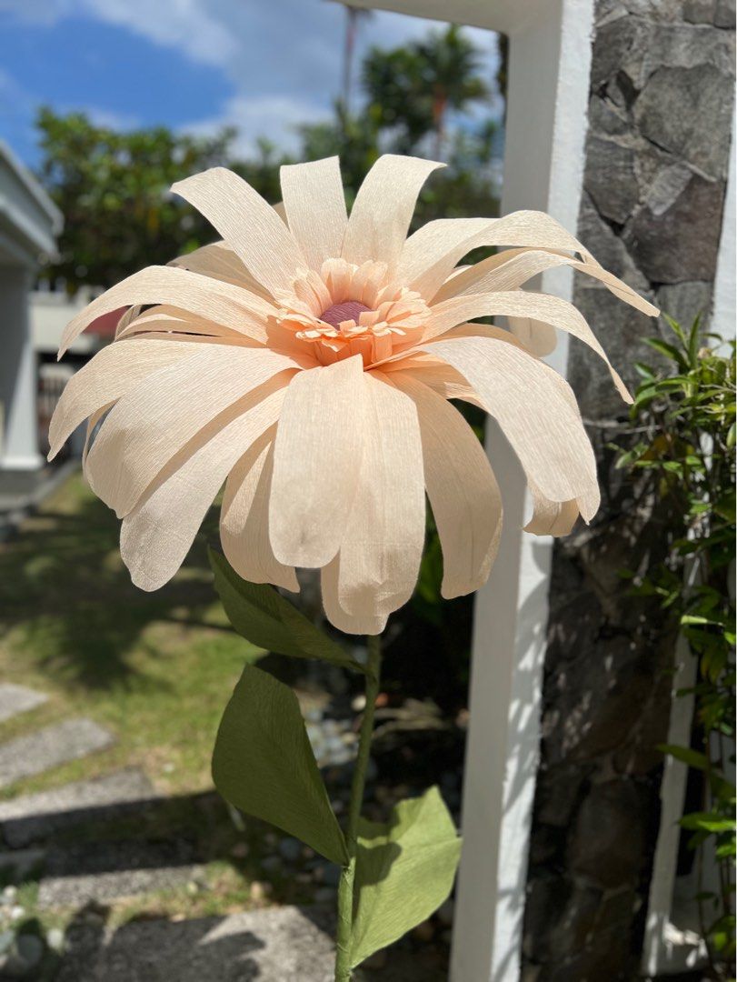 Giant crepe Paper Flower: Light Peach, Furniture & Home Living, Home ...