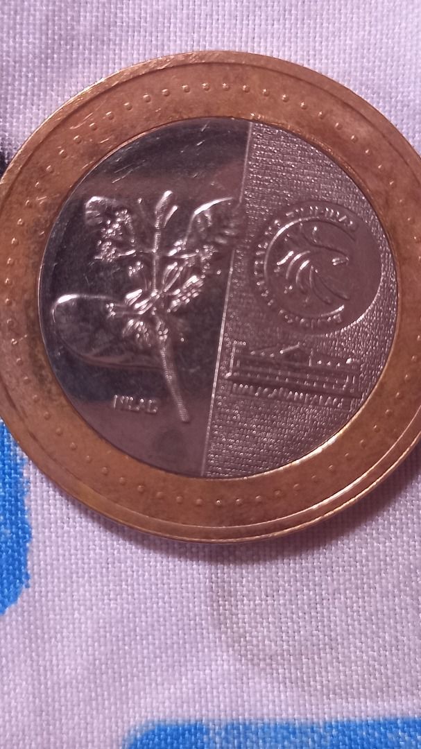 20 Peso Error Coin, Hobbies & Toys, Memorabilia & Collectibles ...