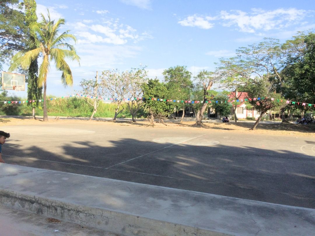 261 Sqm Near SM & Robinsons & Sky Ranch Residential Lot at San Fernando ...