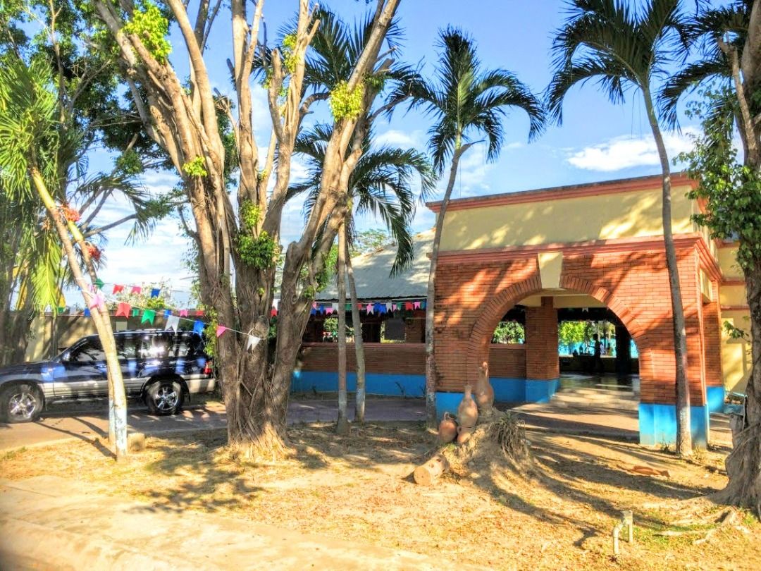 261 Sqm Near SM & Robinsons & Sky Ranch Residential Lot at San Fernando ...