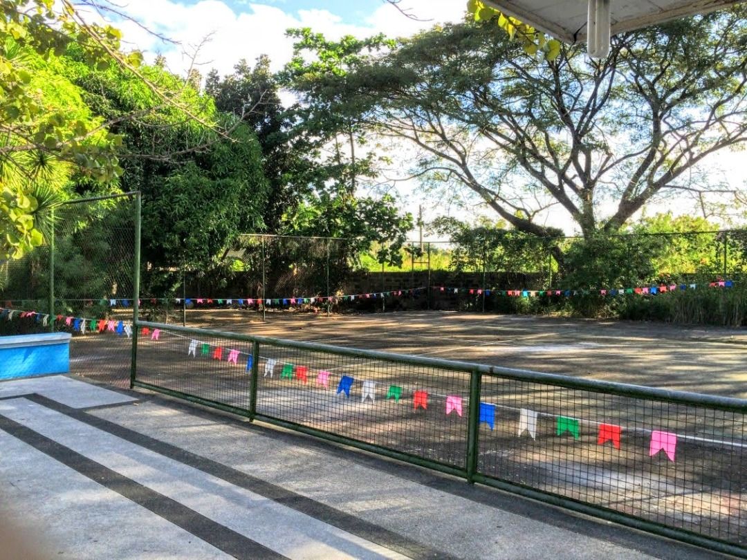 261 Sqm Near SM & Robinsons & Sky Ranch Residential Lot at San Fernando ...