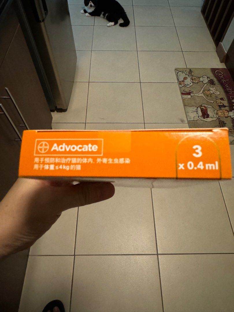 Advocate under 4KG, Everything Else, Others on Carousell