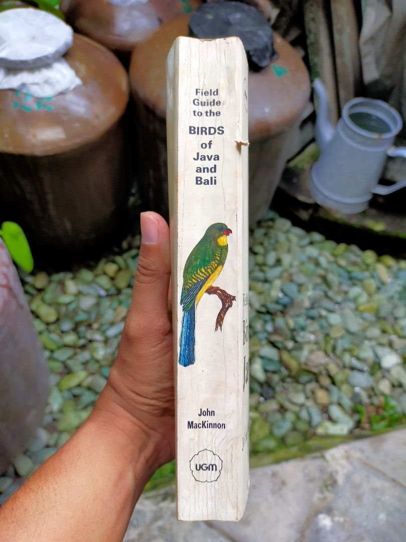 Buku Vintage Field Guide to the Birds of Java and Bali, Buku & Alat ... Buku Vintage Field Guide to the Birds of Java and Bali, Buku & Alat ...