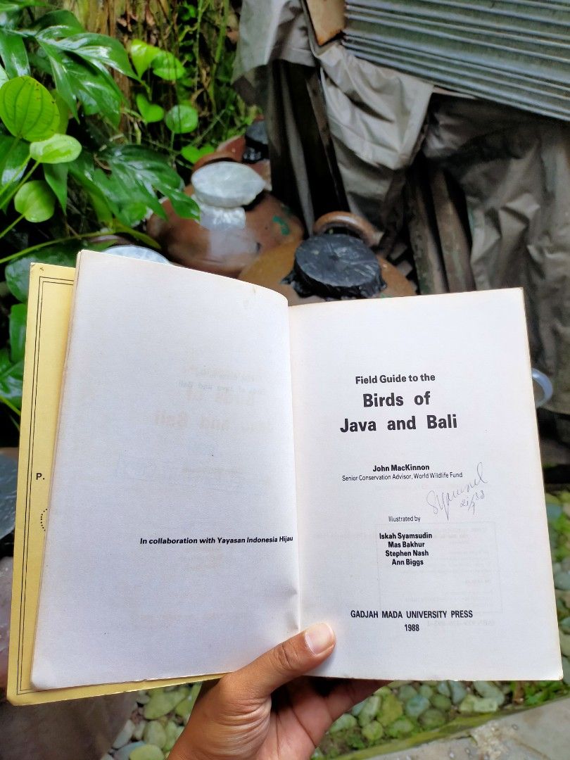 Buku Vintage Field Guide to the Birds of Java and Bali, Buku & Alat ... Buku Vintage Field Guide to the Birds of Java and Bali, Buku & Alat ...