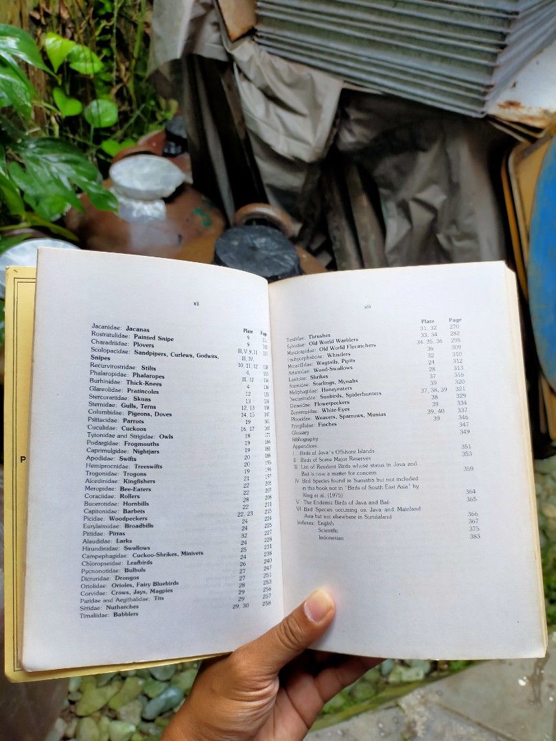 Buku Vintage Field Guide to the Birds of Java and Bali, Buku & Alat ... Buku Vintage Field Guide to the Birds of Java and Bali, Buku & Alat ...