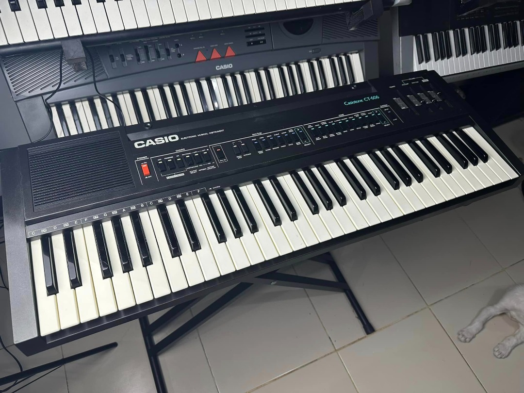 Casio CT-606 Casiotone Piano Keyboard Organ 61 Keys with Push Button Sustain, Hobbies & Toys ...