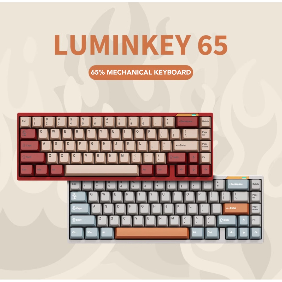 LUMINKEY65 65% Layout Hot-swappable Custom Mechanical Keyboard ...