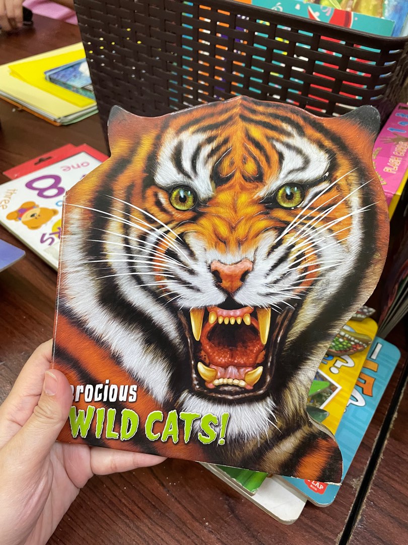 Wild cats book, Hobbies & Toys, Books & Magazines, Children's Books on ...
