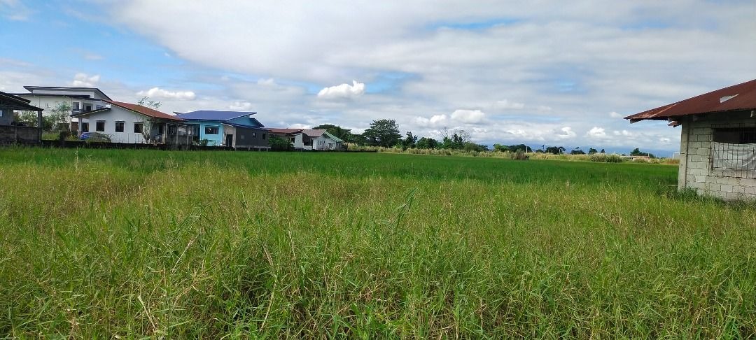 5 Hectares Lot for Sale, Property, For Sale, Lot on Carousell