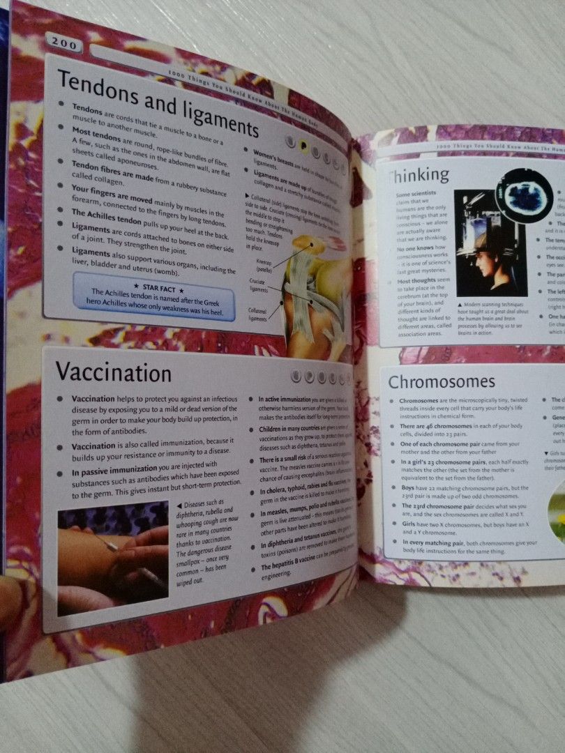 8000 Things You Should Know, Hobbies & Toys, Books & Magazines ...