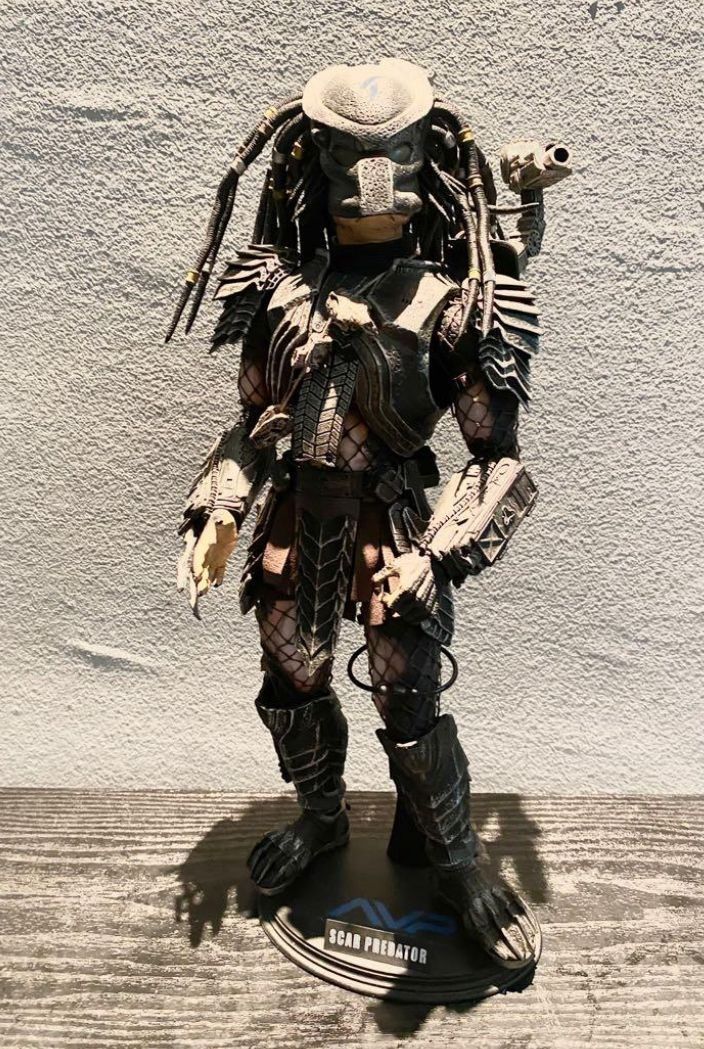 Action Figure: Scar Predator Alien Slideshow 1/6 - 異型戰士, Hobbies & Toys ...