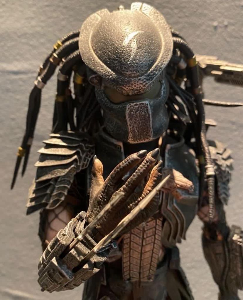 Action Figure: Scar Predator Alien Slideshow 1/6 - 異型戰士, Hobbies & Toys ...
