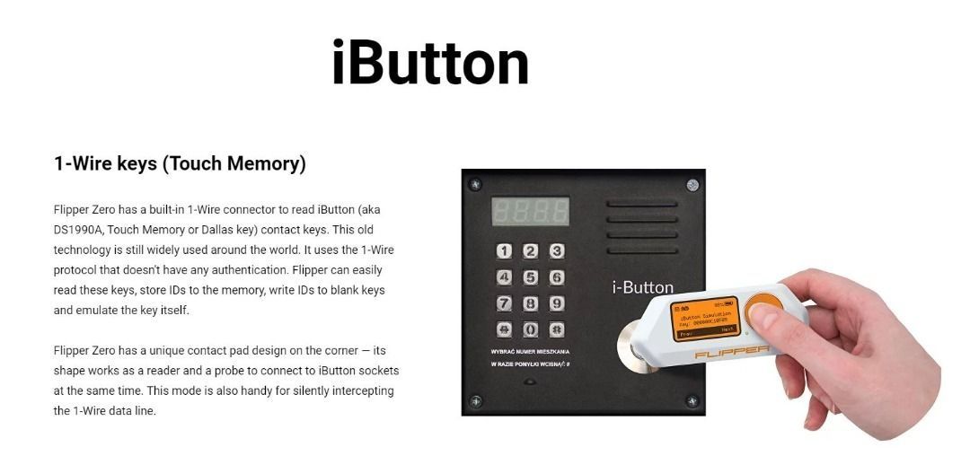 Flipper Zero, Hobbies & Toys, Toys & Games on Carousell