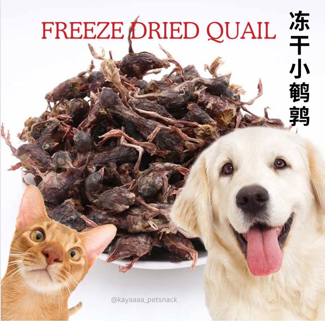 Freeze Dried Quail 200G, Pet Supplies, Pet Food on Carousell