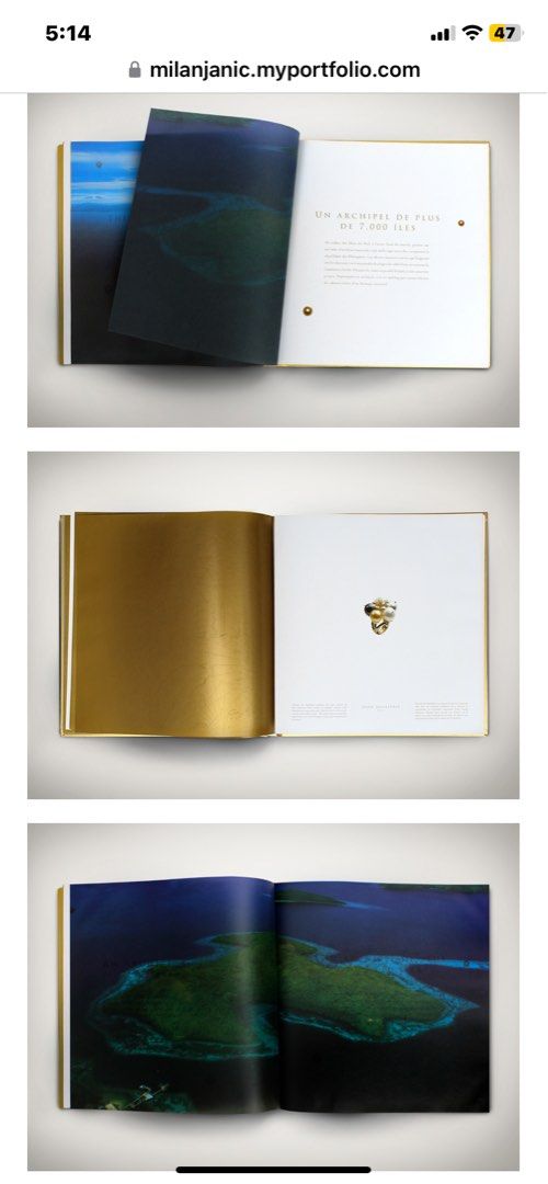 Jewelmer: The miracle of the golden pearl by Didier Brodbeck [RARE ...
