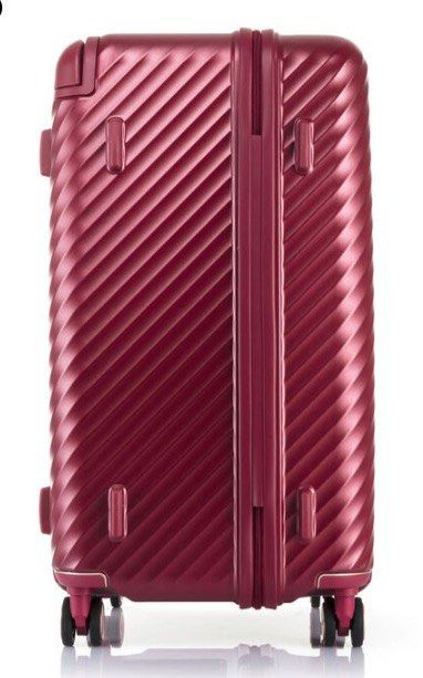 Samsonite STEM Spinner 28'' Trunk Luggage, Hobbies & Toys, Travel ...