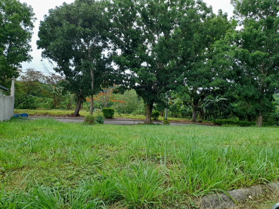 Lot in Tagaytay Heights Subdivision Along Mahogany Avenue Tagaytay City ...