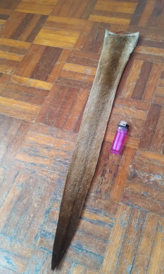 Genuine Kangaroo's tail skin, Furniture & Home Living, Home Decor ...