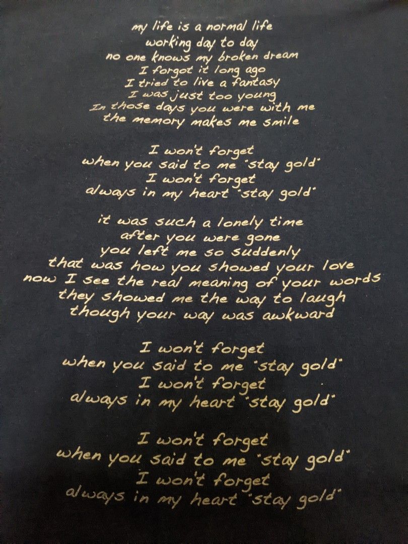 Japanese punk rock hi-standard, Men's Fashion, Tops & Sets, Tshirts ...