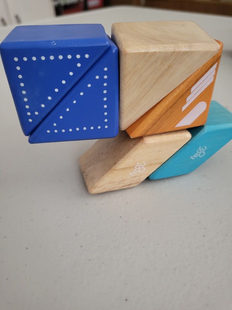 Tegu 6pc set 1, Hobbies & Toys, Toys & Games on Carousell