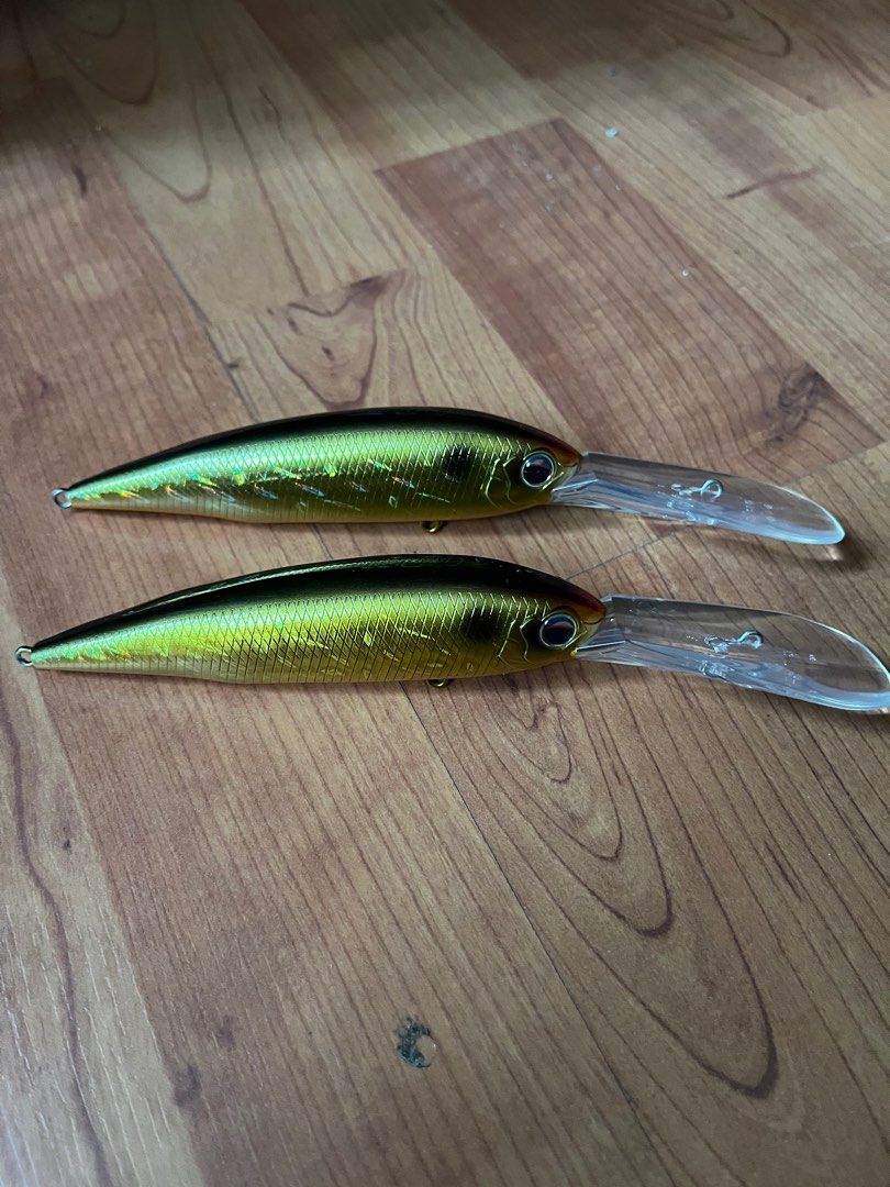Evergreen gold digger 600 lure, Sports Equipment, Fishing on Carousell