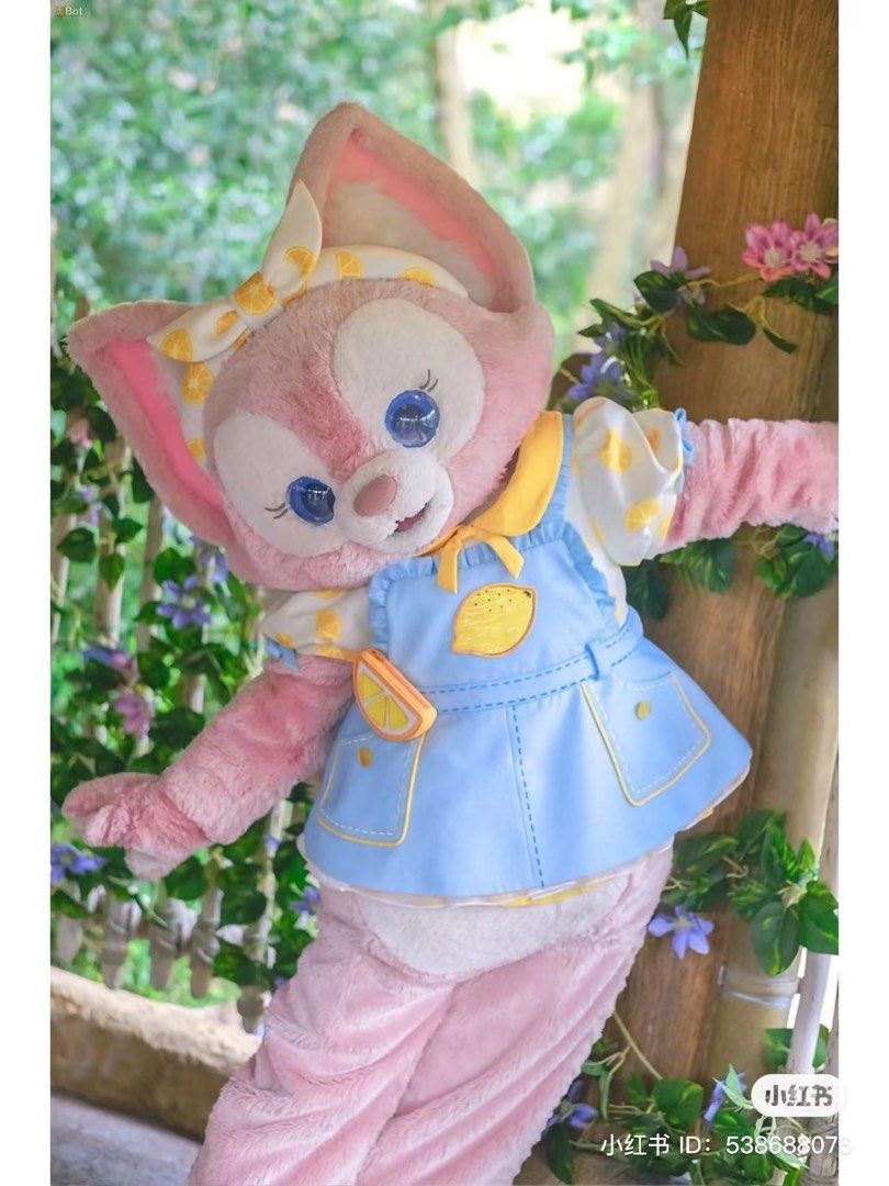 Linabell Costume, Hobbies & Toys, Toys & Games on Carousell