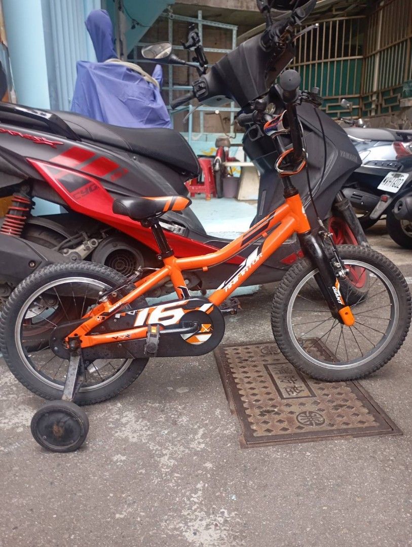 二手出清 捷安特 橘色 ANIMATOR F/W 16吋 鋁合金 童車 含全新輔助輪 庫存 展示 樣品 過季車 淡水自取, 體育器材, 自行車及配件, 單車在旋轉拍賣