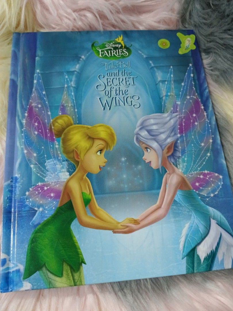 Disney Fairies Box set, Hobbies & Toys, Books & Magazines, Children's ...