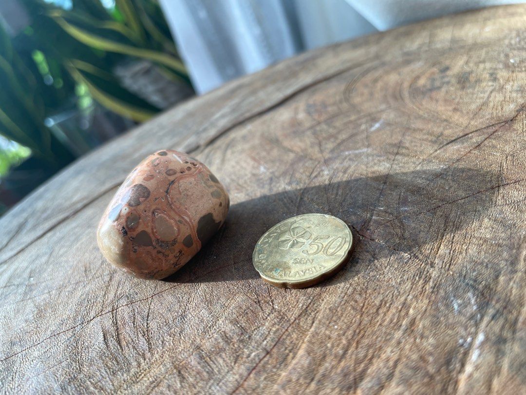 Leopardite Tumbled Stone, Furniture & Home Living, Home Decor, Other ...