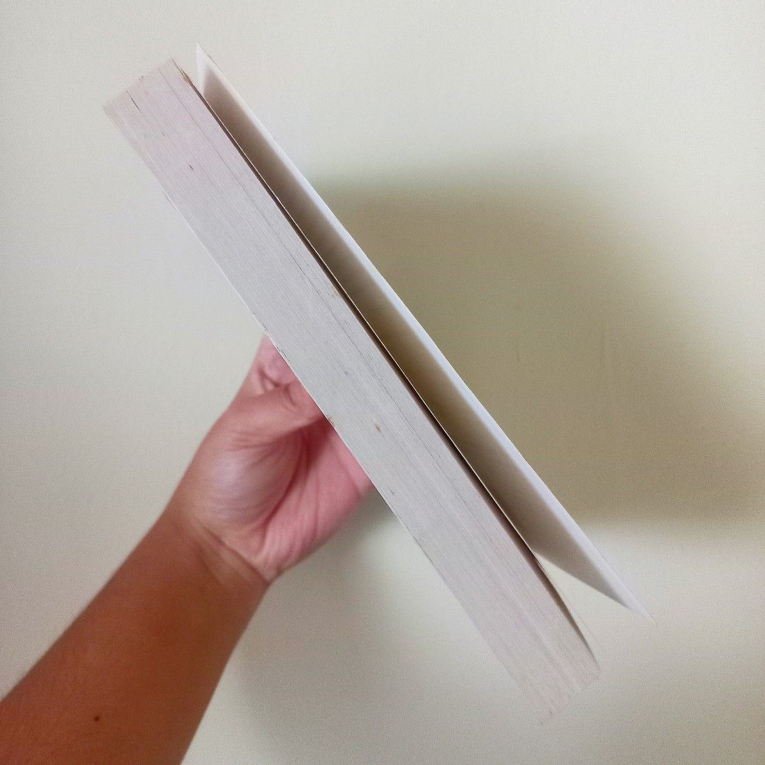 The Uncoupling by Meg Wolitzer (preloved buku novel impor english ...