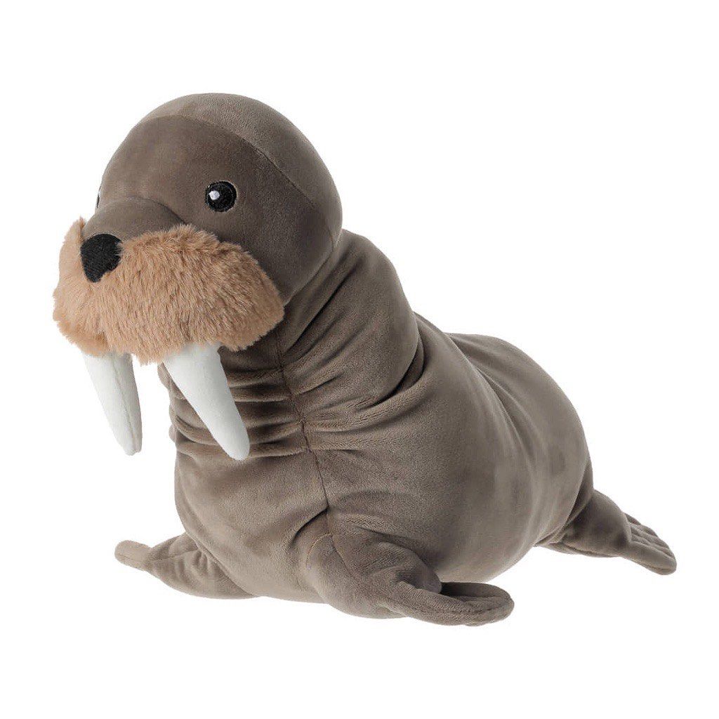 Walrus Ocean Animal Plush Toy by Miniso, Hobbies & Toys, Toys & Games ...