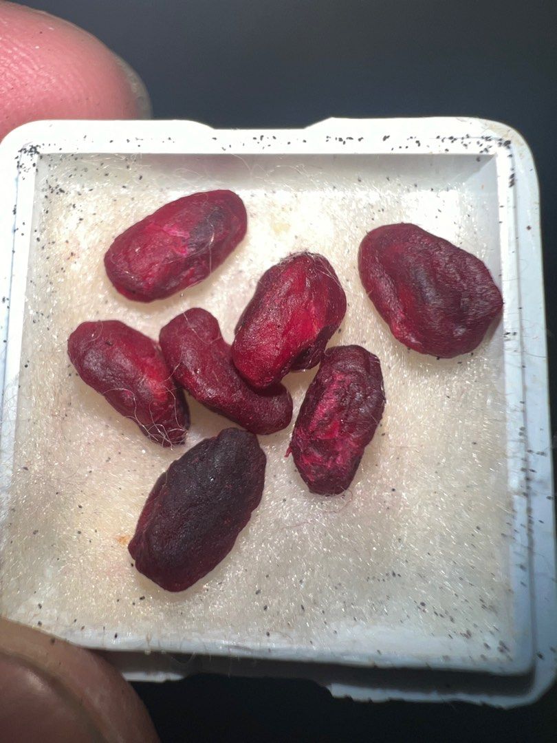 buntat delima puteri 7 beradik, Hobbies & Toys, Collectibles ...