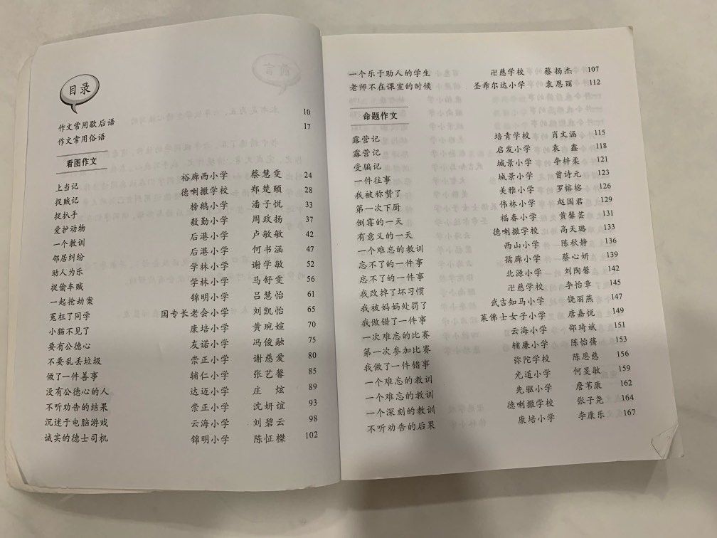 Chinese Model Composition Primary School Chinese Essay, Hobbies & Toys ...