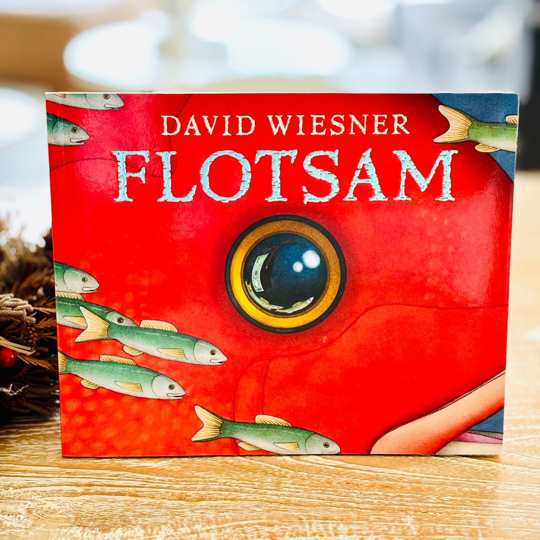 Flotsam by David Wiesner, Hobbies & Toys, Books & Magazines, Children's ...