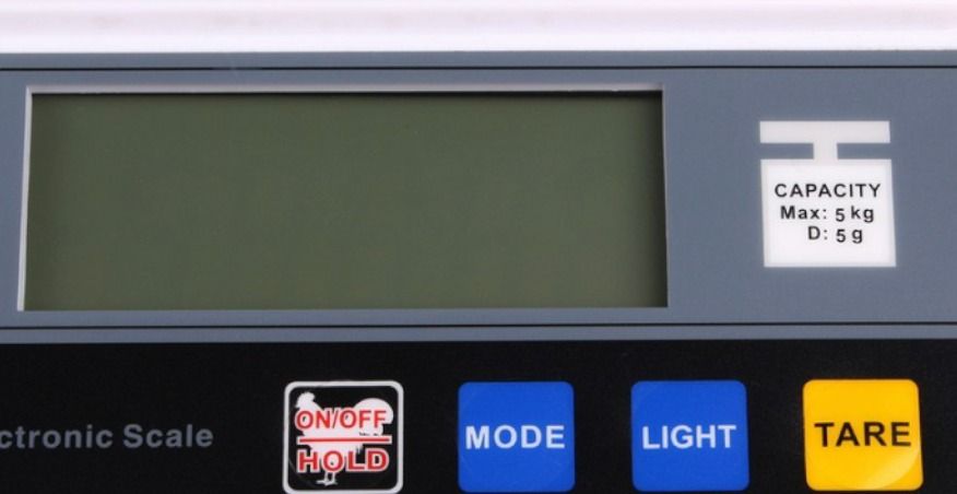 Gamefowl Rooster Digital Weighing Scale (Detachable), Furniture & Home ...