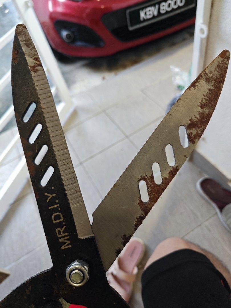 Grass cutter Mr DIY, Furniture & Home Living, Gardening, Grass Mowers ...