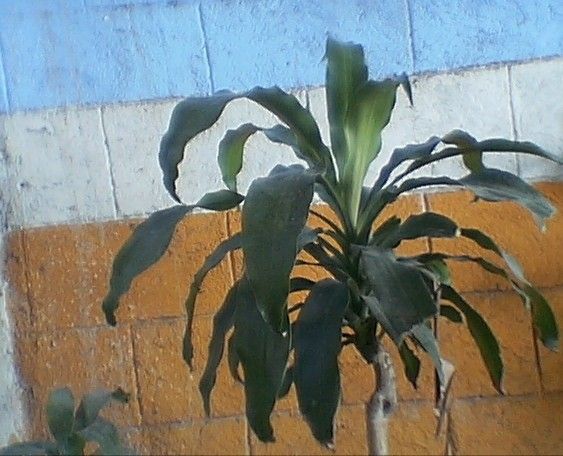 Rare Panasonic SV-AV20 Handycam, Photography, Cameras on Carousell