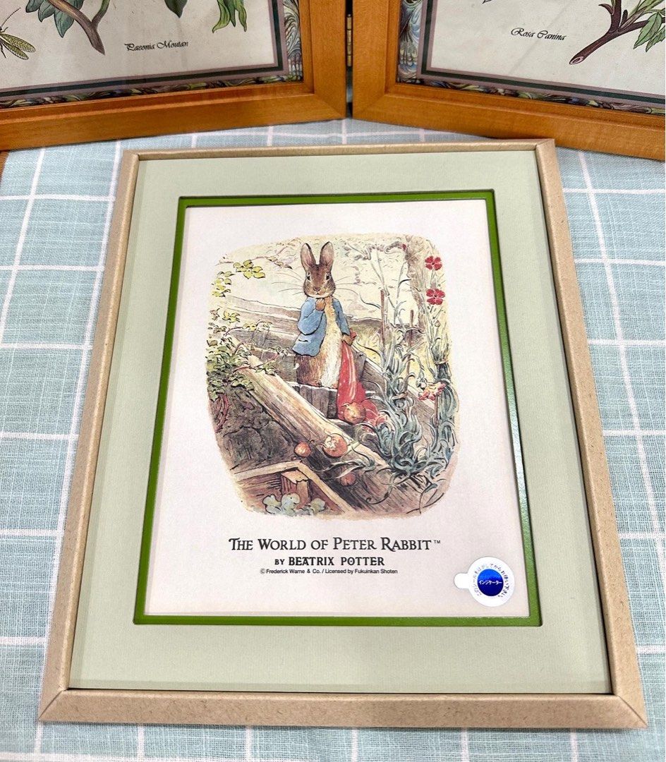 Peter Rabbit Frames x3, Furniture & Home Living, Home Decor, Frames ...