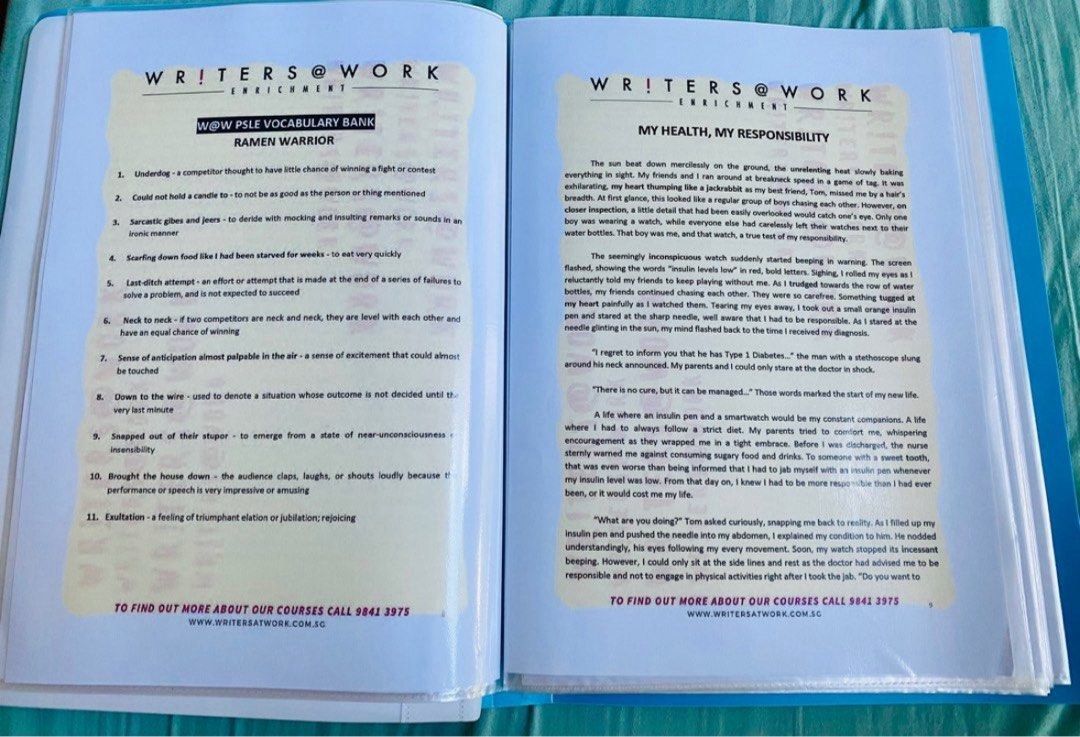 PSLE P6 ENGLISH GRAMMAR COMPO COMPRE MATERIAL. WOW , beautiful phrases ...