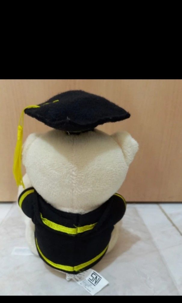 Boneka wisuda graduation doll ukuran medium, Toys & Collectibles ...